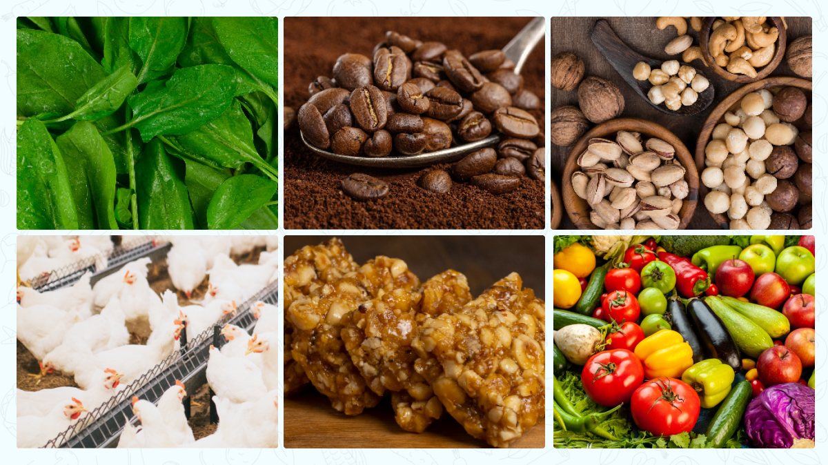 Blockchain Enabled Food Traceability Solutions for Food Safety